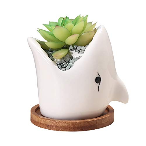 Cute 3.85 inch Tall Animal Shark Shaped Ceramic Succulent Cactus Flower ...
