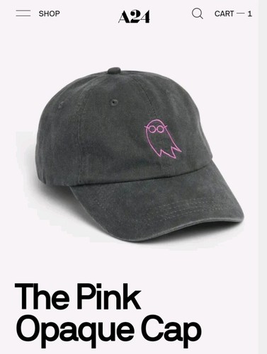 A24 I Saw The TV Glow Pink Opaque Cap Brand New Sealed Hat W/ A24 Logo ...