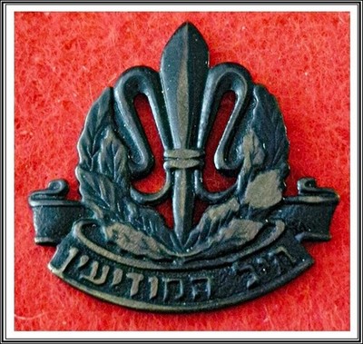Israel Defense Forces (IDF) Intelligence Corps hat beret lapel pin ...