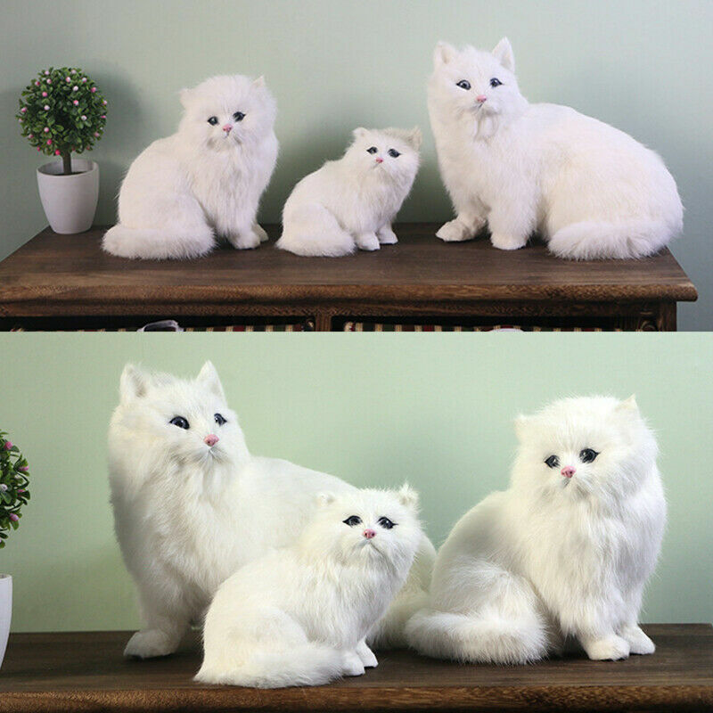 White Persian Cat Doll Face