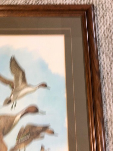 IOWA ART Patrick J Costello Limited Edition Framed Print Signed 479/600 ...