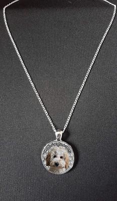 Labradoodle Dog Pendant On 18" Silver Plated Necklace Ideal Birthday ...