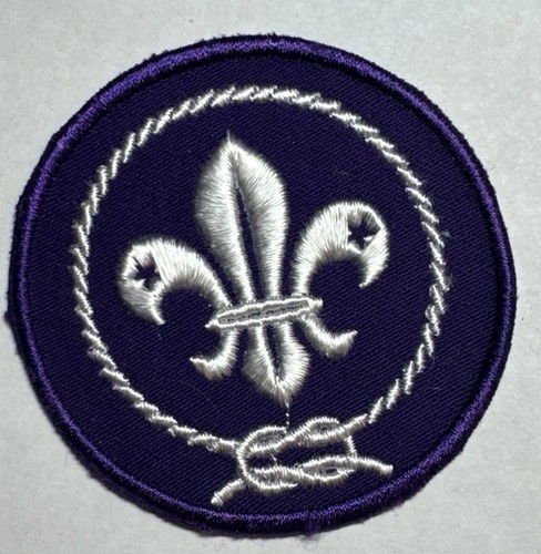 BSA World Scouting Crest Emblem Patch Large 2 5/8” | eBay