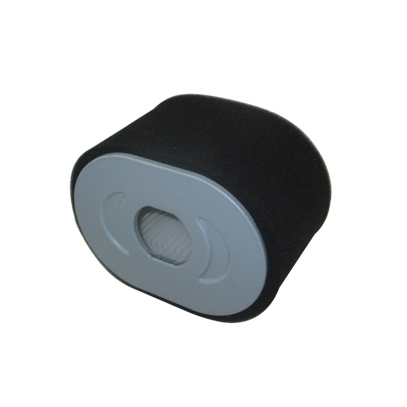 Air Filter For Briggs & Stratton 799818 Cleaner Ca 25T232-0007-F1 Parts ...