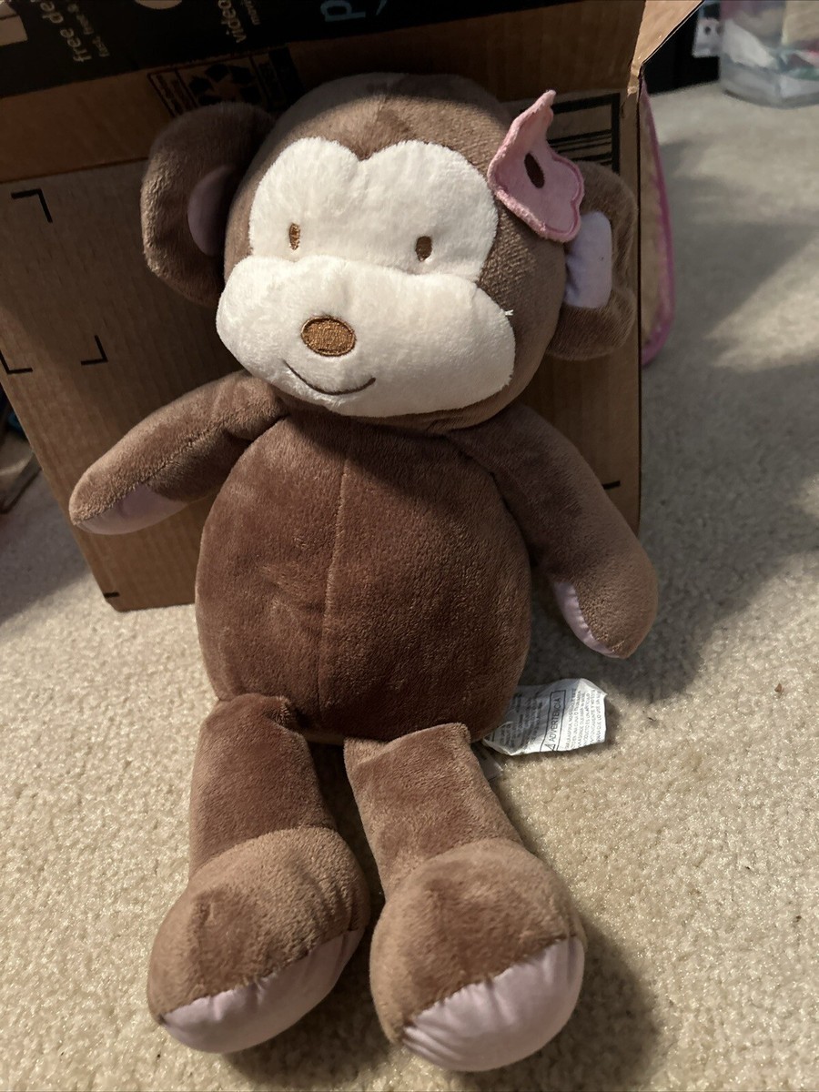 Jacana Monkey Baby Girl Jacana Chicks Hi Res Stock Photography And