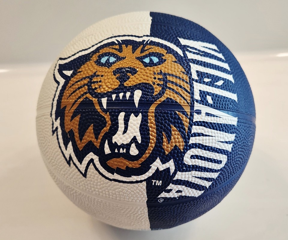 College Mini Basketballs - 7" Duke, Texas, Arizona, Kansas, etc. | eBay