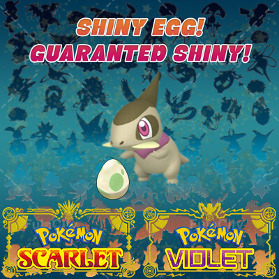 AXEW POKEMON SCARLET VIOLET SHINY EGG 6 IV CUSTOM AVAILABLE | eBay