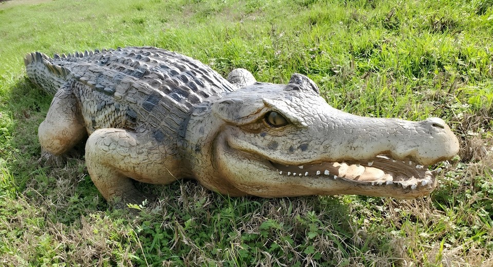 Large Alligator Statue - Life Size Caiman Alligator Statue - Realistic ...