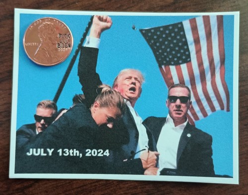 2024 Lincoln Cent Penny Let's Go Brandon LTD EDITION Collectors Coin ...