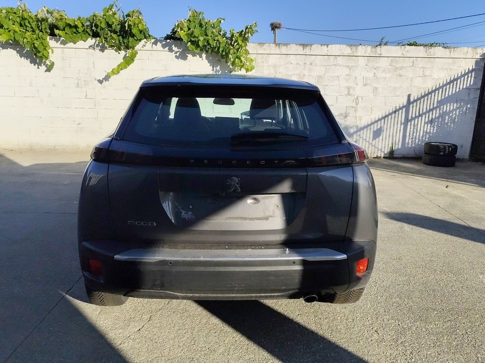 9831048680 HINTERE LINKE TÜR / 218035 FÜR PEUGEOT 2008 II UD_, US_, UY ...