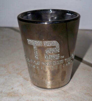 Vintage Universal Studios Terminator 2 T2 3D Battle Across Time Shot ...