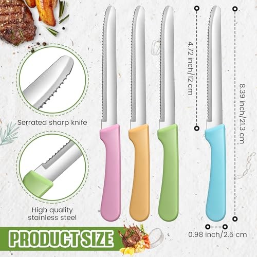 100 Pcs Rounded Serrated Steak Knives 8.39 Inches for Kitchen ...