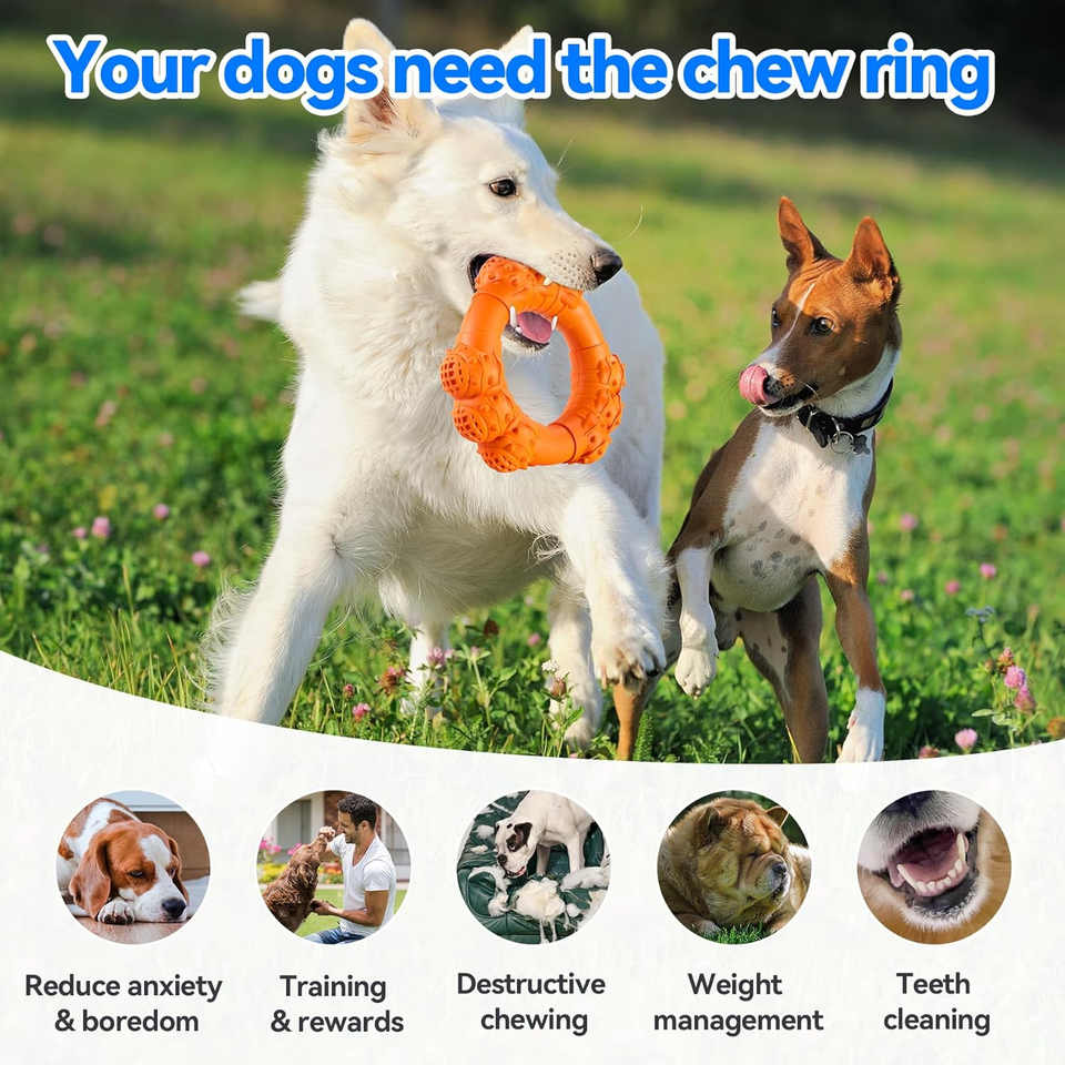 Indestructible Dog Chew Ring Toys for Aggressive Chewers, Super Chewer ...