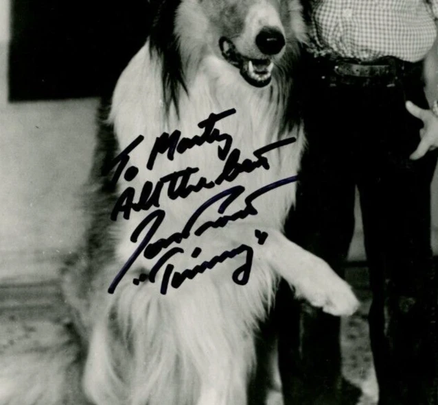 Lassie Timmy Martin