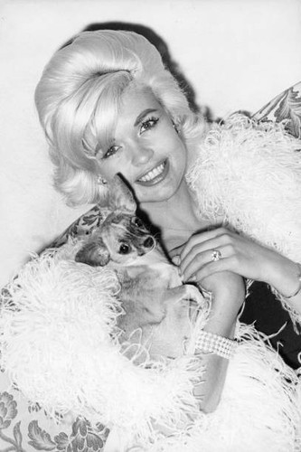 American actress Jayne Mansfield with her dog in March 1963 in- 1963 ...