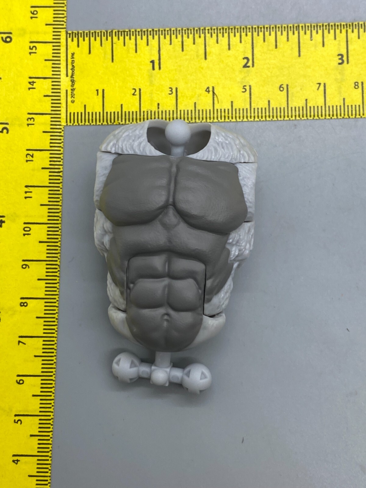 Beast Torso Body Chest Pale Ape Animal Warriors of the Kingdom 6 ...