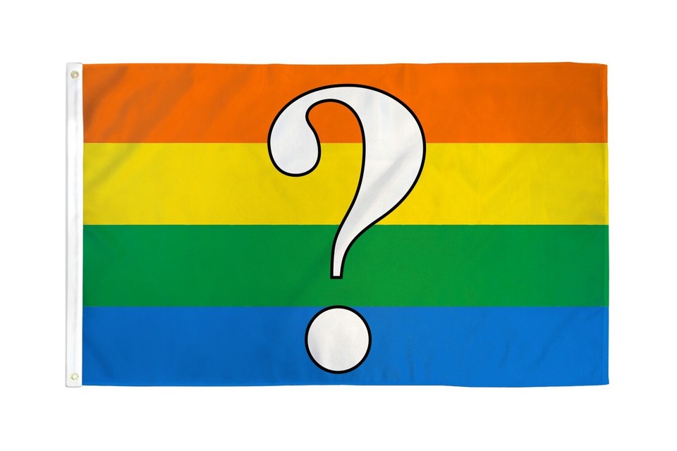Questioning Flag 3x5ft LGBTQIA LGBT Queer Questioning Pride Flag | eBay
