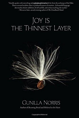 Gunilla Norris Joy is the Thinnest Layer (Poche) | eBay