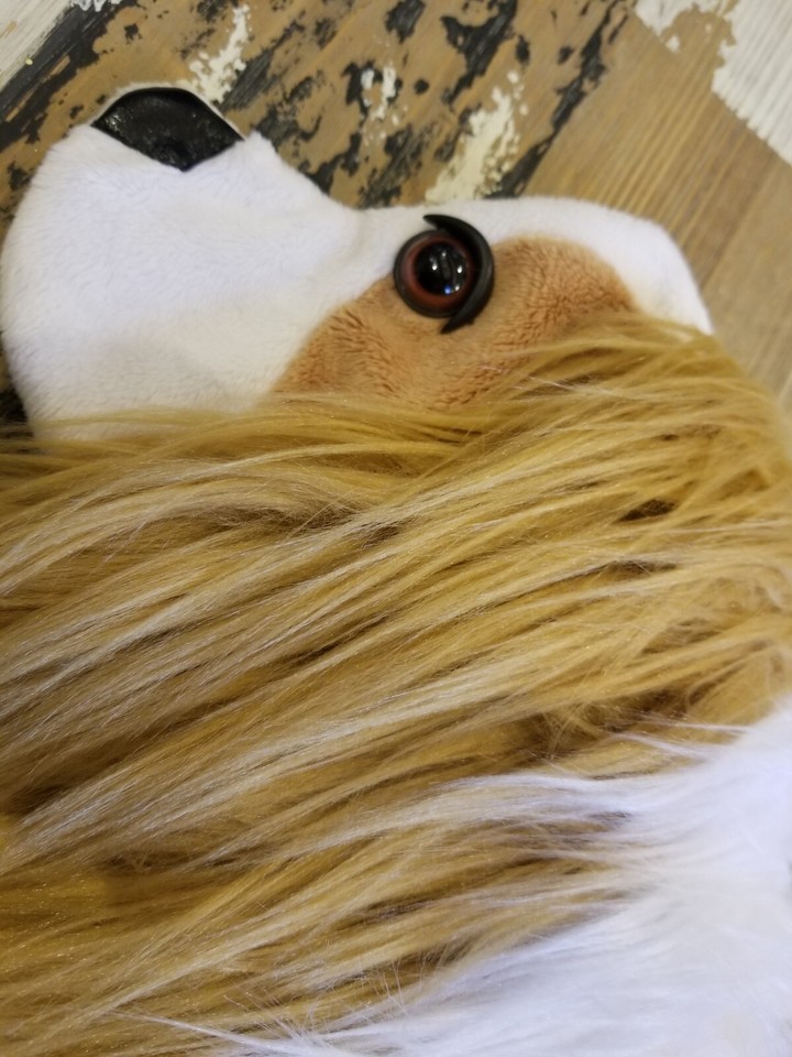 NEW Hearth Hounds Cavalier King Charles Spaniel Christmas Stocking | eBay