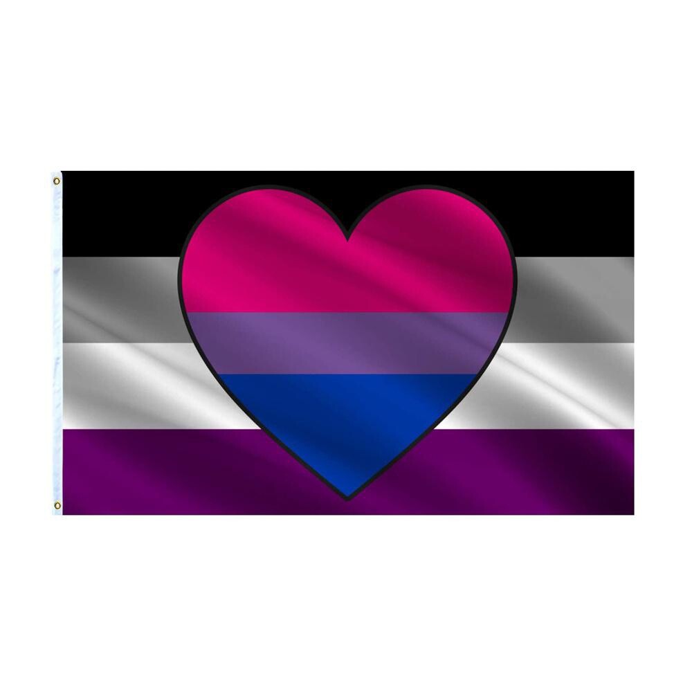 150*90cm Asexual Biromantic Pride Biro Ace Bisexual Heart LGBT Bi ...