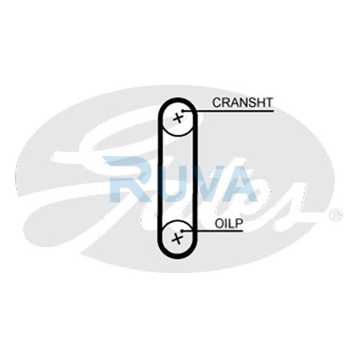 Fits VW Skoda Audi Seat Ruva Timing Cam Belt 03L115264A 03L115264 ...