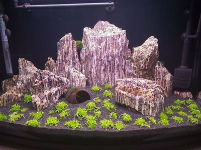 Aquarium Rock Natural Fish Tank Stone Slate Decoration WOOD STONE 15kg ...