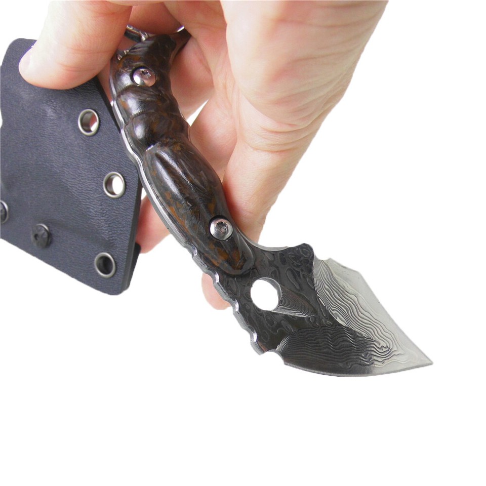 Masalong kni164 Giant Bee Double Edge Karambit Knife Fixed Blad Claw knife | eBay