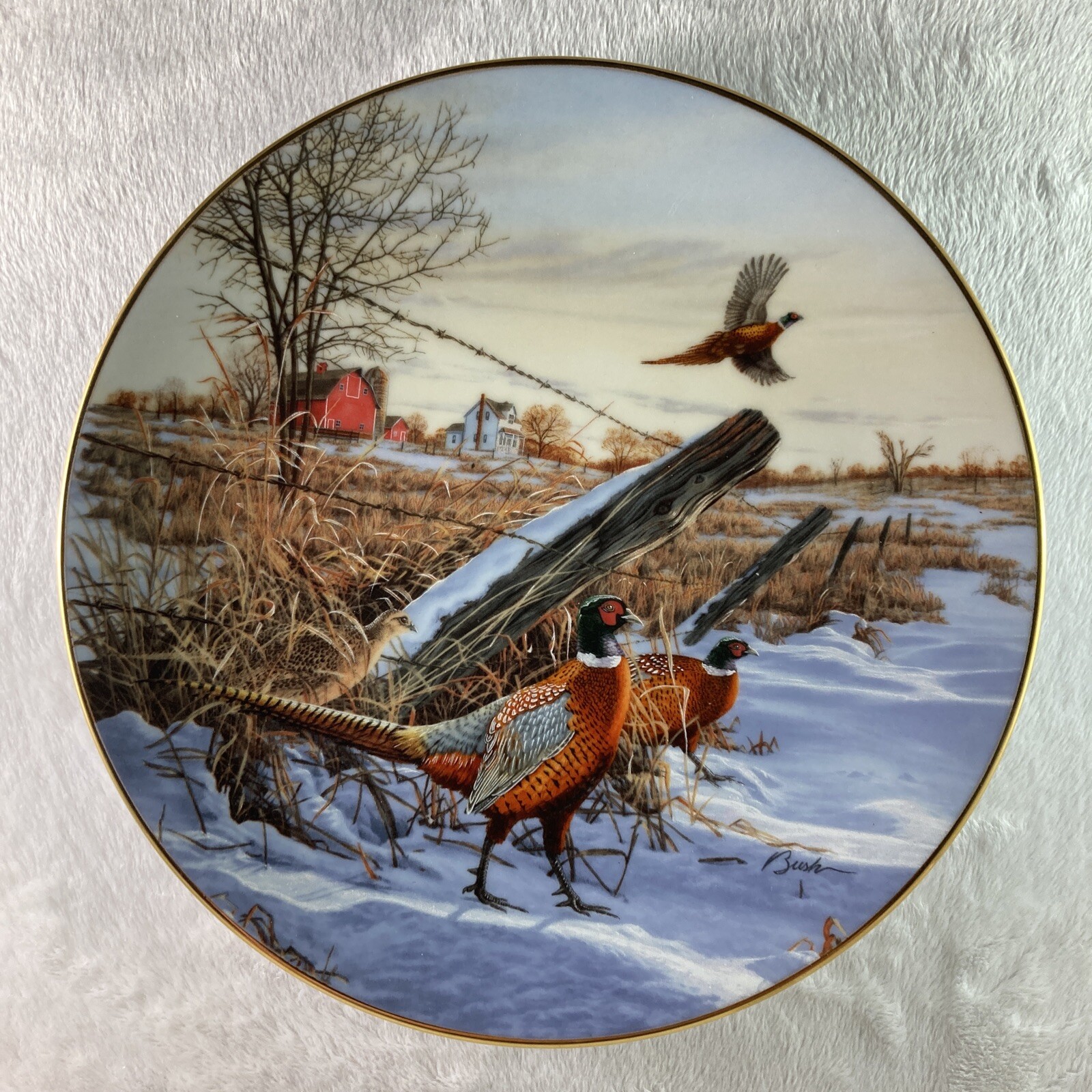 WINTER COLORS RING-NECKED PHEASANT Plate Field Birds of North America D ...