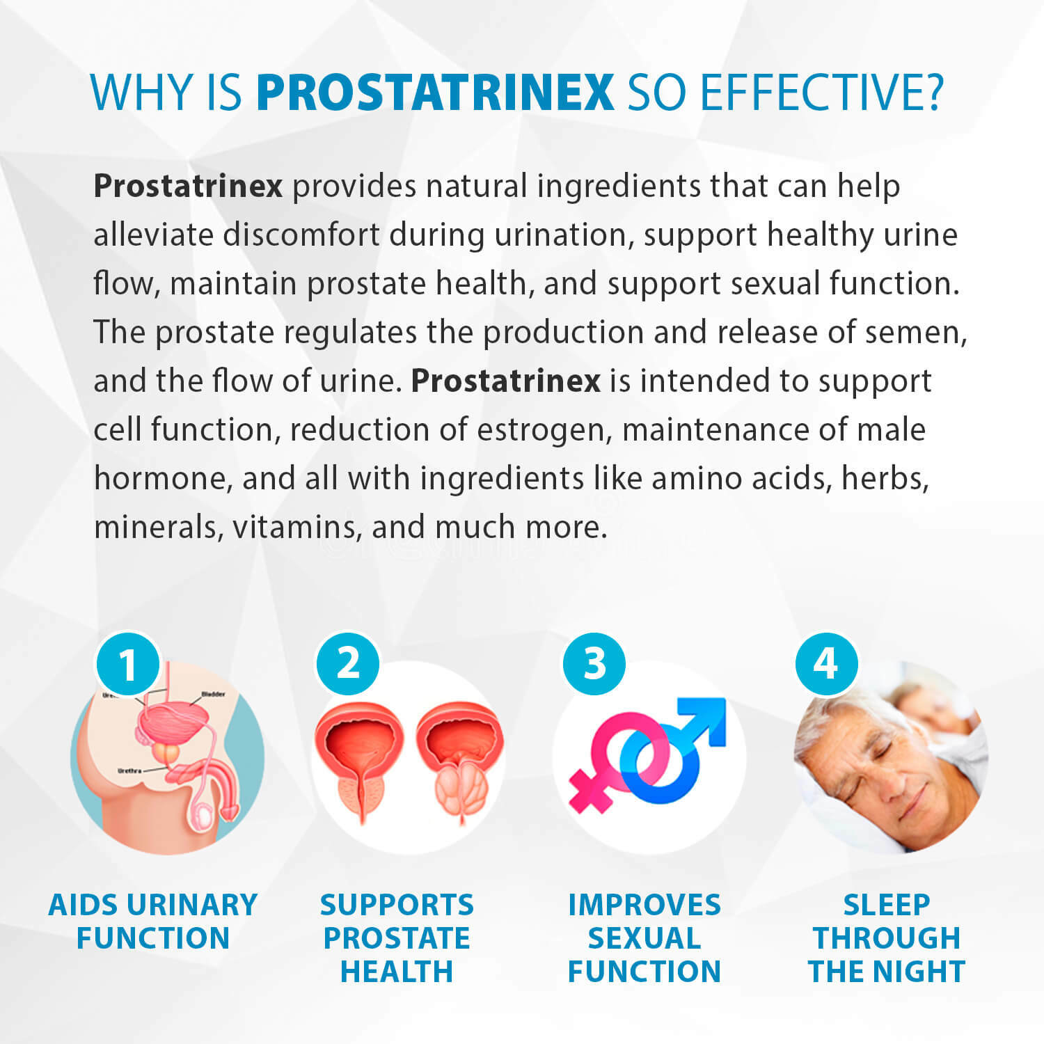 Prostatrinex Prostate Support - 5 Bottles - Official Seller - 100% ...