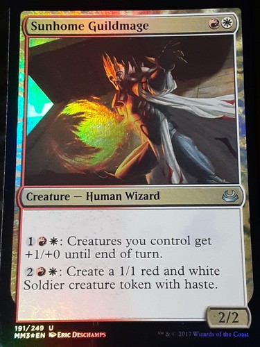 Sunhome Guildmage FOIL , Modern Masters 2017 , LP , MTG, FREE SHIPPING ...