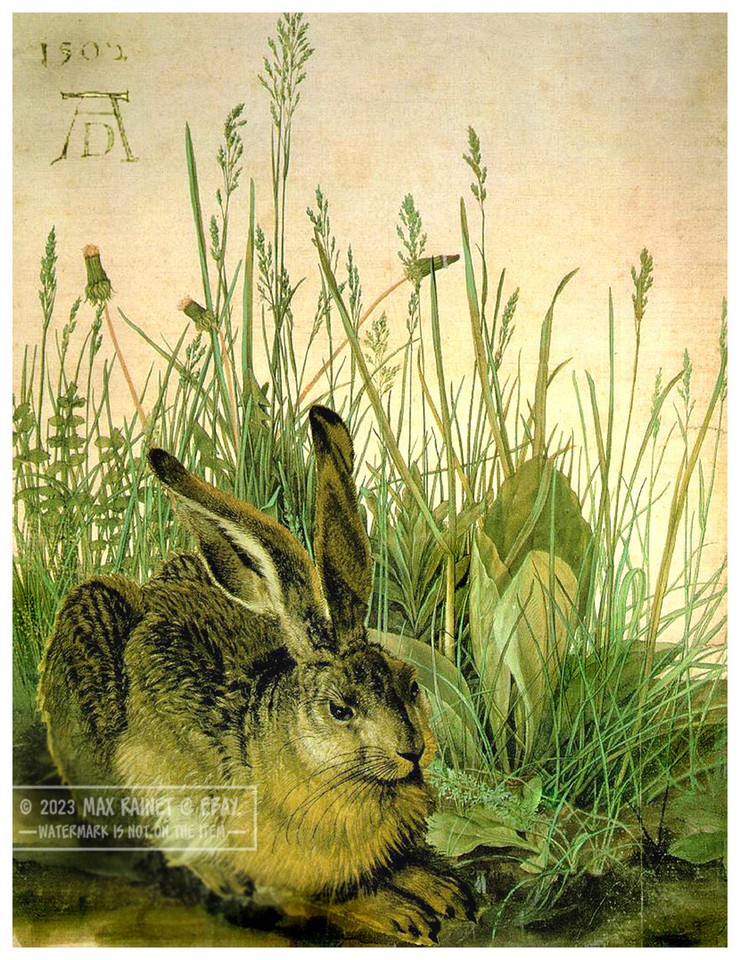 ALBRECHT DURER Hare Rabbit in weeds 1502 * Botanic Nature * Fine ART ...