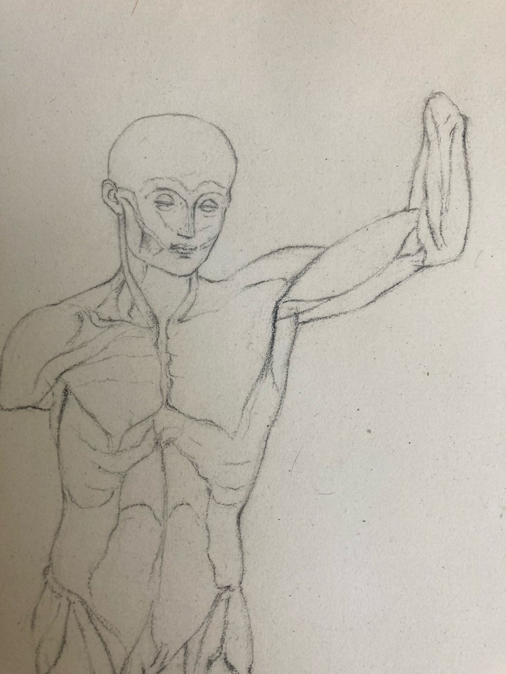 Anatomy Drawing Art Ecorché Hand Pencil Muscle 1850 Curiosity Body 19th ...