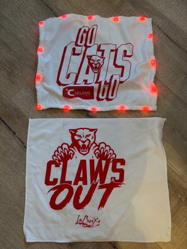 Florida Panthers Stanley Cup Playoffs Rally Towels | eBay