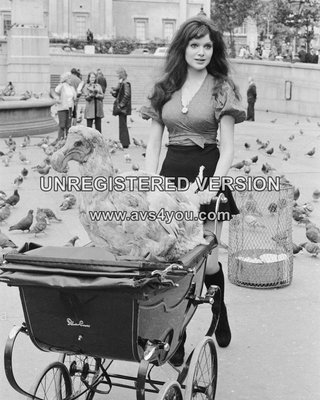 Madeline Smith Hammer Horror 10" x 8" Photograph no 64 | eBay UK