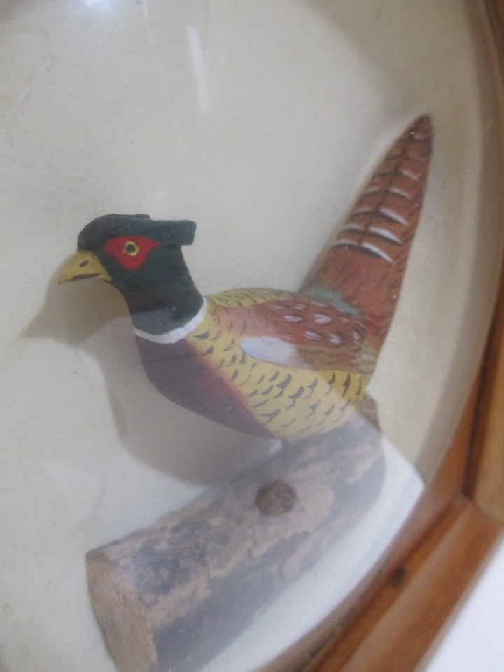 William Reinbold Carved Pheasant Diorama Signed Domed Glass Folk Art ...