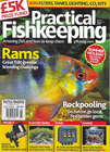 Practical Fishkeeping Magazine Rams Rockpooling Fish Tanks Native ...