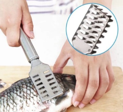 Stainless Steel Fish Scaler Brush – Scale Scraper & Skin Remover ...