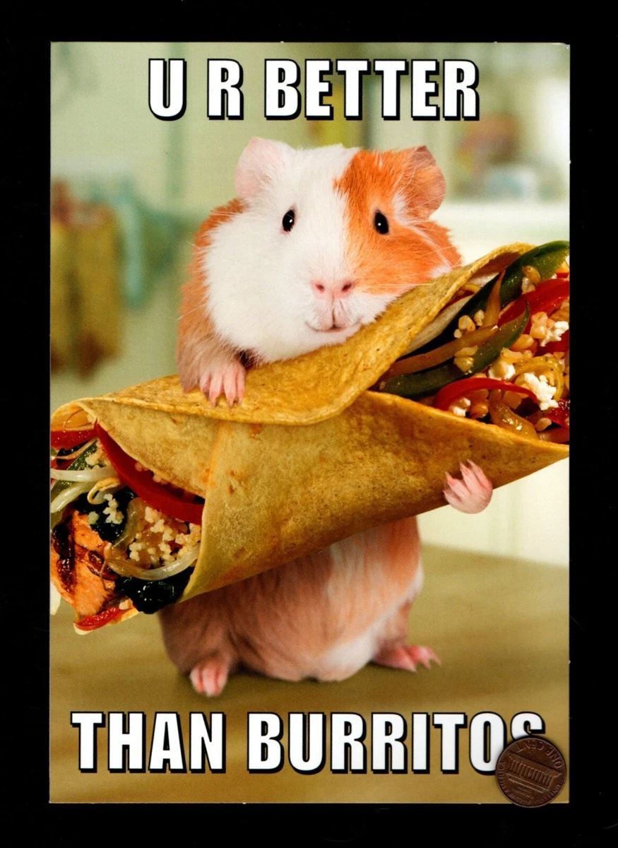 Burrito Meme