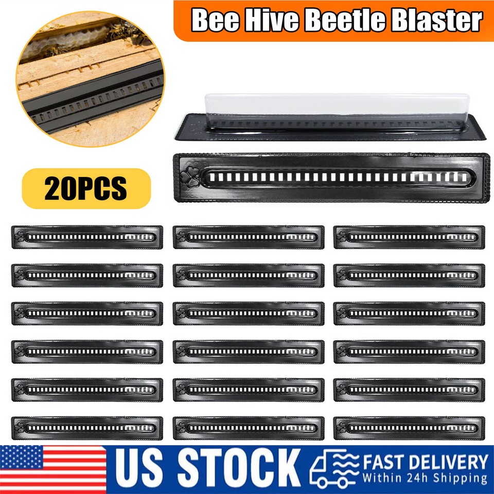 20X Black Bee Hive Beetle Blaster BeeHive Beetle Trap Beekeeping Tool ...