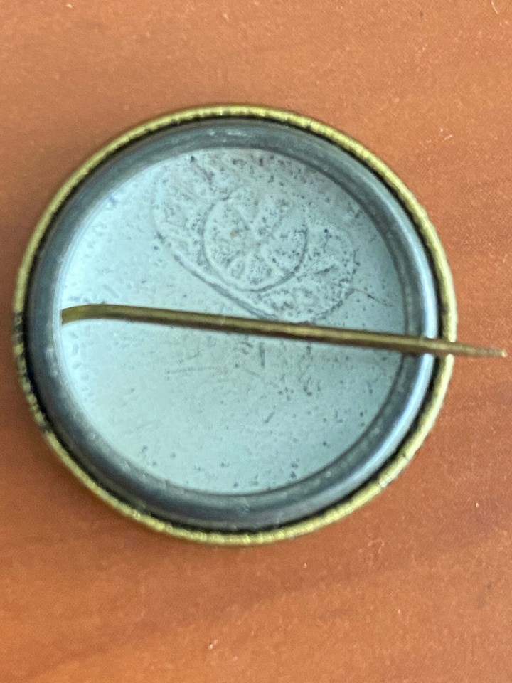 VINTAGE POLITICAL GOLDWATER IN ' 64 PIN, YELLOW GOLD IN COLOR | eBay