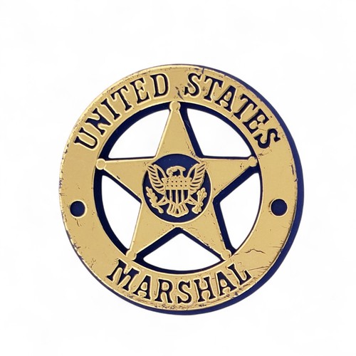 Vintage United States Marshal Star Lapel Pin Gold Blue Law Enforcement ...