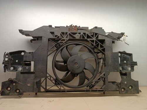 Face avant RENAULT GRAND SCENIC 3 PHASE 1 752100007R | eBay