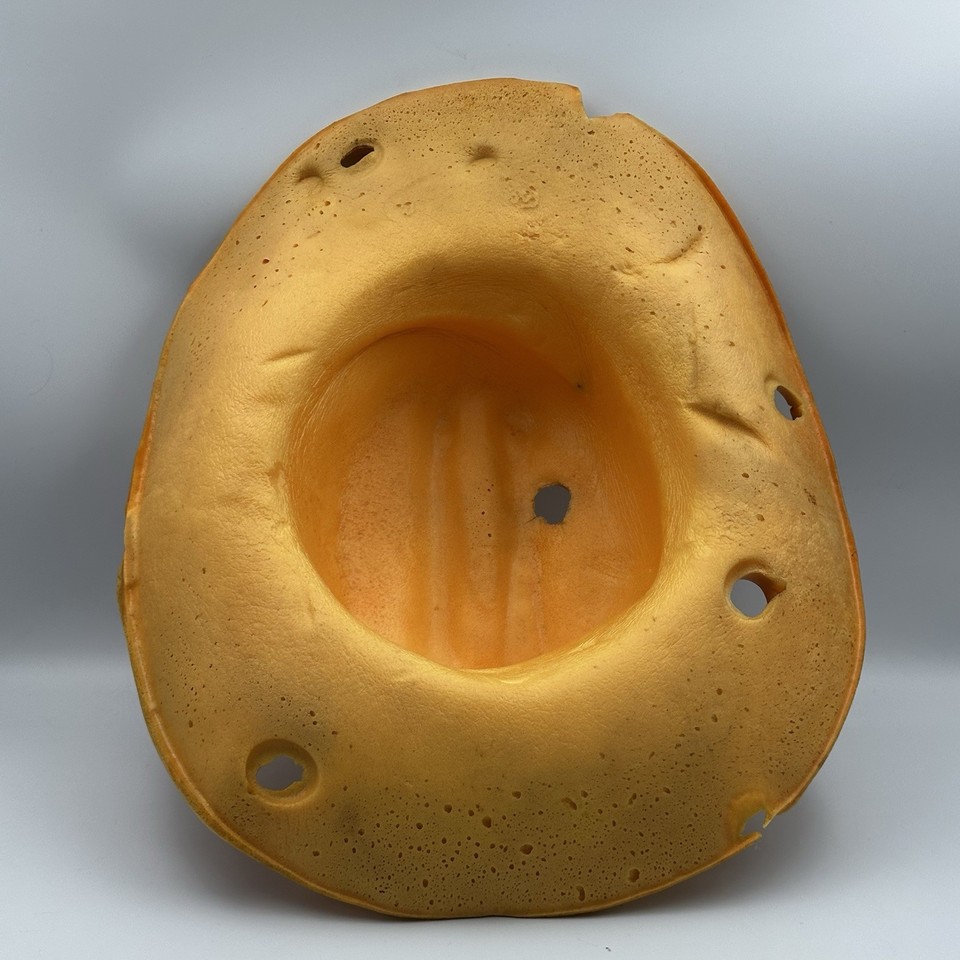 Brett Favre Signed Green Bay Packers Cheesehead Cowboy Hat 1990s ...