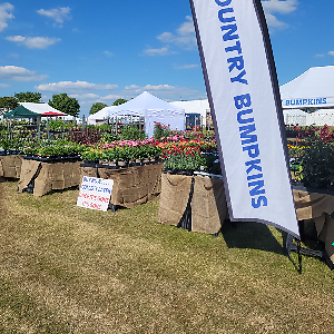 Country Bumpkins Nursery | eBay Shops