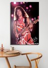Eddie Van Halen Poster 24x36 Inch Photo Rare Print Wall Art Print ...