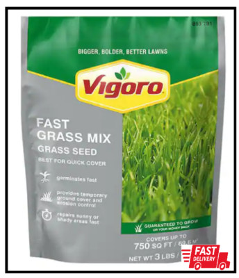 Vigoro Fast Grass Seed Mix 3 Lbs. | eBay