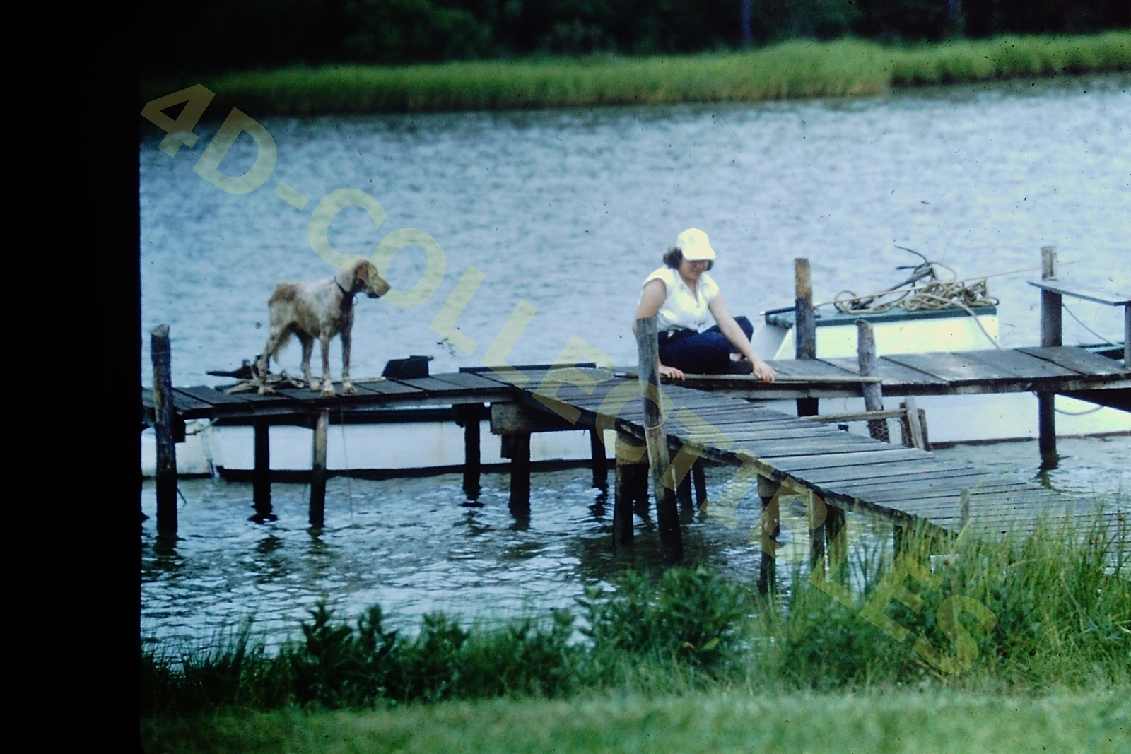Vintage Original slide Photograph Relaxing Day by the Lake With a Loyal ...