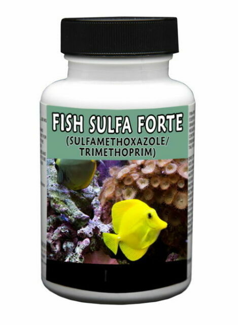Fish Sulfa Forte Sulfamethoxazole Trimethoprim 60 ct tablets for sale ...