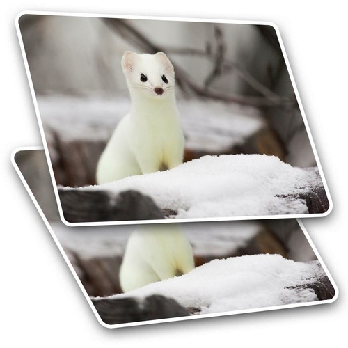 2 x Rectangle Stickers 7.5 cm - White Pretty Short Tailed Weasel Cool ...