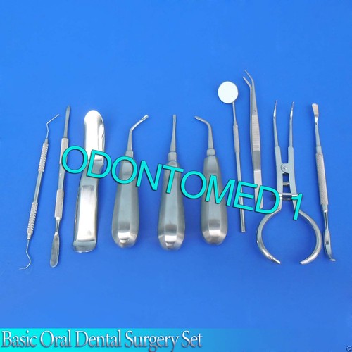 10 Pieces Basic Dental Oral Surgery Elevators Set Kit Instruments DN ...